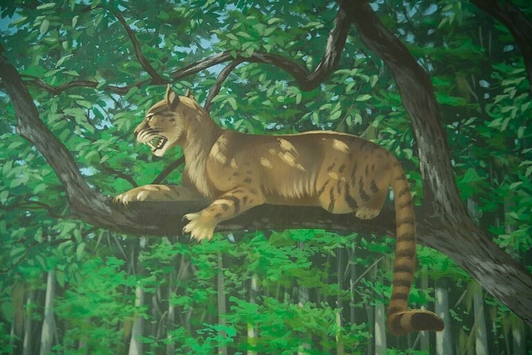 Pseudaelurus: The Evolutionary Link Across Continents - felinefam.com